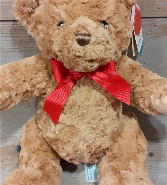 Benjamin Bear Lily Alley Florist St Albans